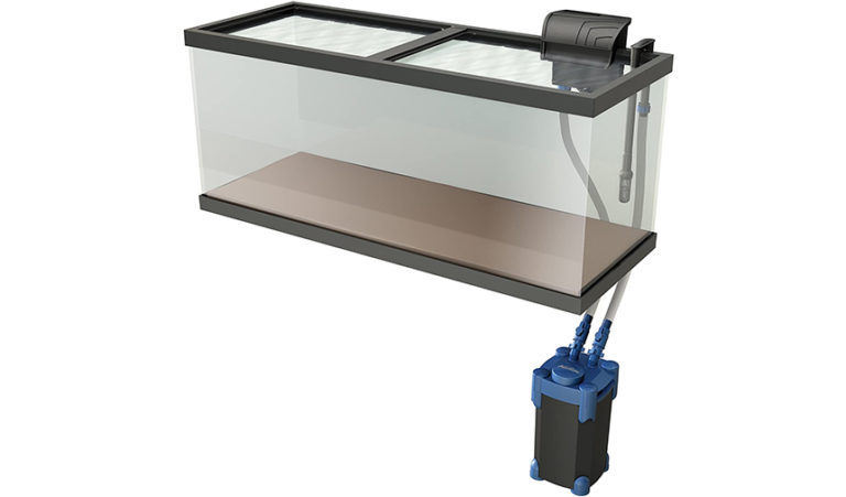 5 Best Canister Filters for 55-Gallon Tanks Reviewed in Detail (Fall 2023)