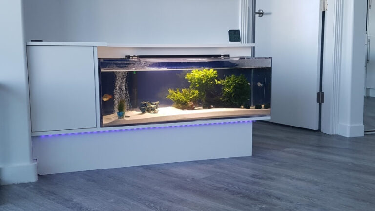 How to Remove Hard Water Stains from a Fish Tank - Easy Steps & Tips ...