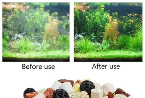 10 Best Aquarium Filter Media Reviewed in Detail (Fall 2023)
