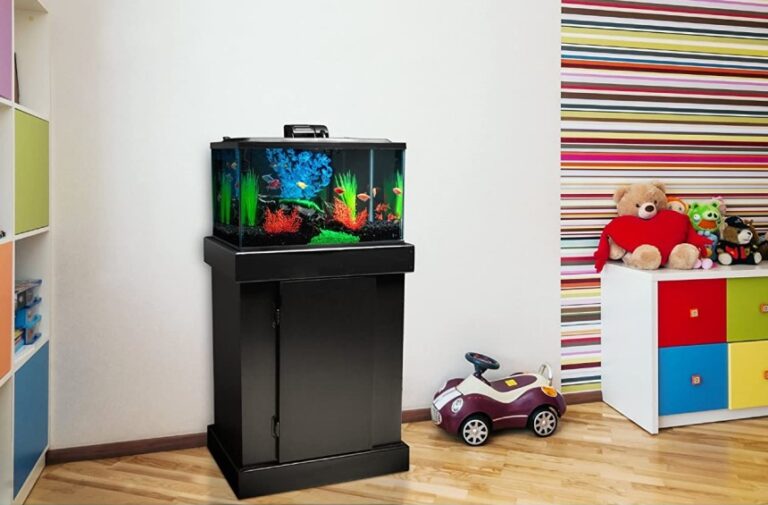 6 Best 10-Gallon Fish Tanks (Spring 2026)