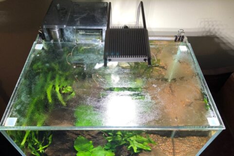 8 Best Rimless Aquariums: In-Detail Review (2021) (Winter 2025)