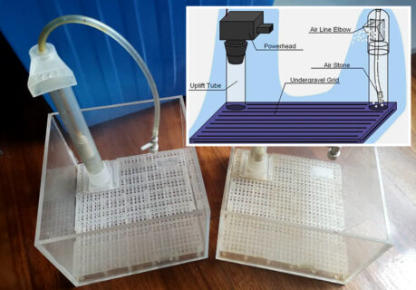 How Does an Undergravel Filter Work? - All There Is to Know