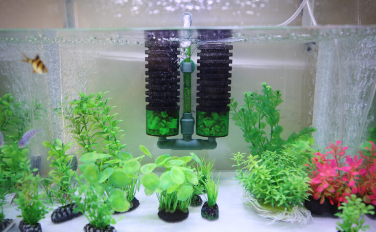 How Often Should I Change My Fish Tank Filter: Tips for Istallation and ...
