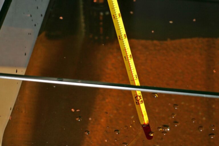 What Temperature Should a Fish Tank Be: Everything You Need to Know!