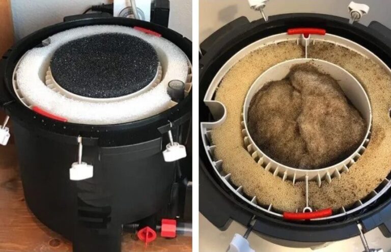 12 Best Canister Filters (Spring 2026)