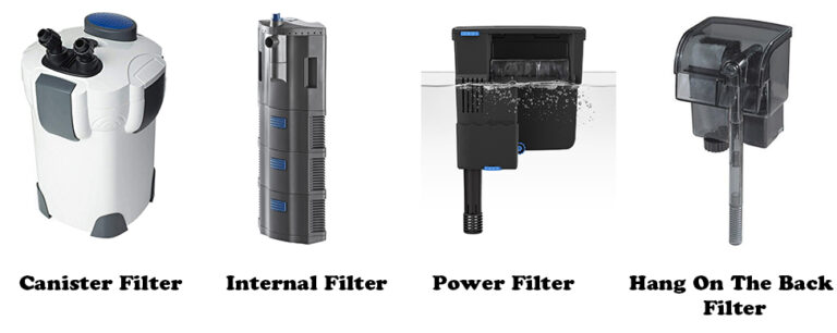 6 Best Aquarium Filters for Large Tanks Reviewed in Detail (Spring 2026)