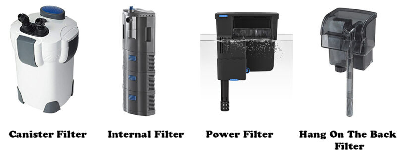 6 Best Aquarium Filters for Large Tanks Reviewed in Detail (Summer 2023)