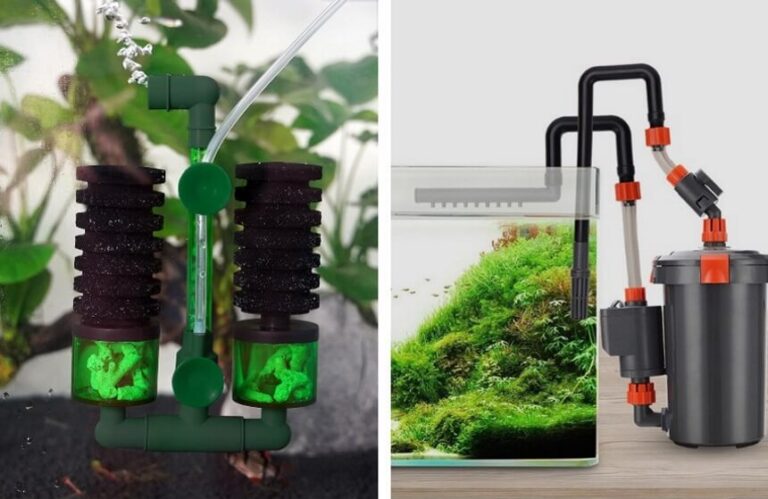 7 Best Sponge Filters Reviewed in Detail (Winter 2024)