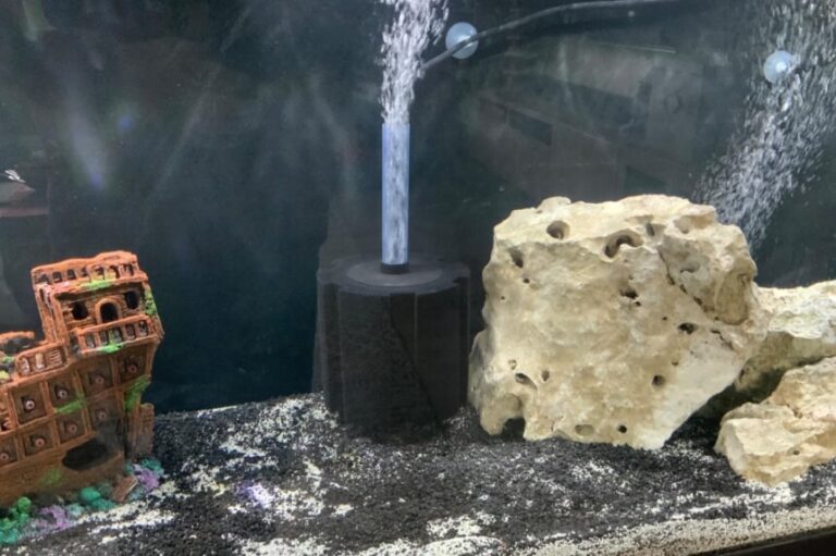 7 Best Sponge Filters Reviewed in Detail (Winter 2024)