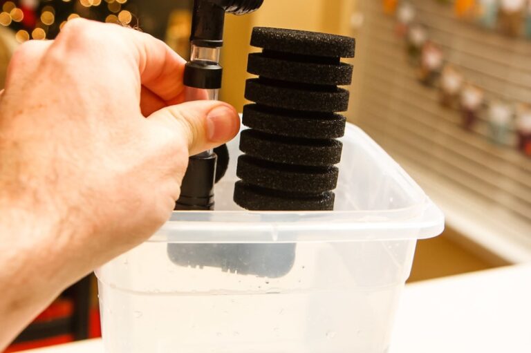 7 Best Sponge Filters Reviewed in Detail (Winter 2024)