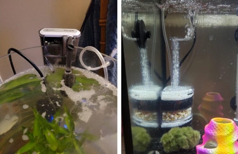 7 Best Filters for Shrimp Tanks Reviewed in Detail (Spring 2026)