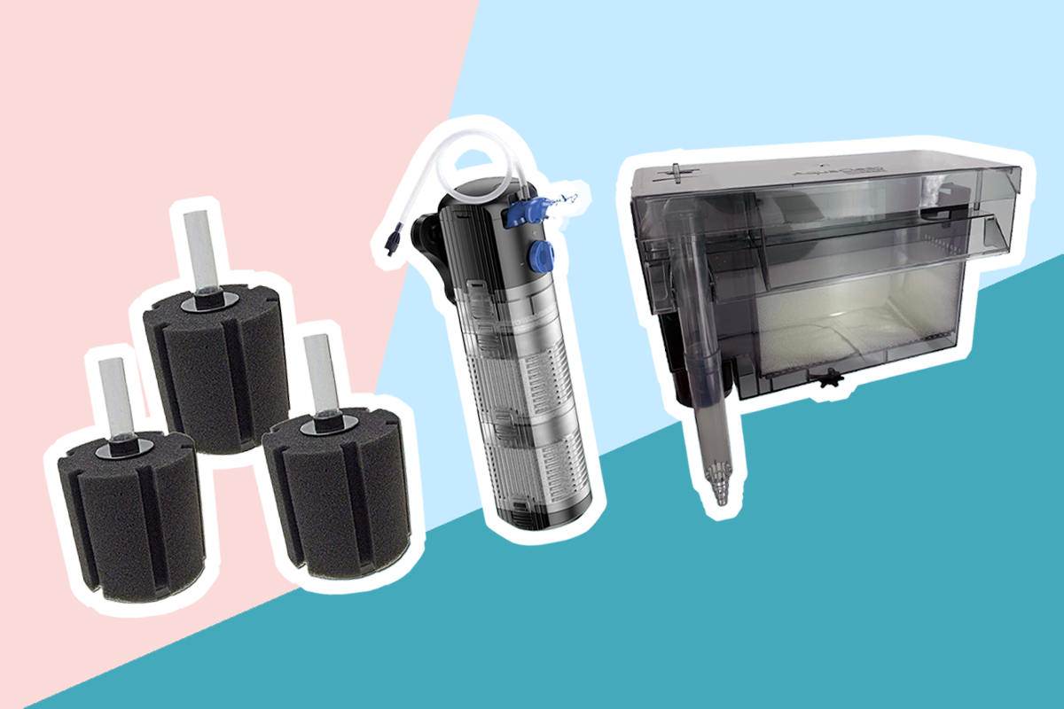 10 Best Aquarium Filters (Summer 2025) - The Ultimate Guide